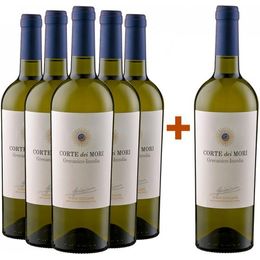 Corte dei Mori 5+1 Paket Grecanico-Inzolia Terre Siciliane Cuv&eacute;e 2024 - Sizilien &ndash; Probierpaket IGP