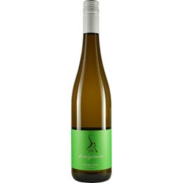 Weingut K&ouml;nigsrain Weingut K&ouml;nigsrain Sauvignon Blanc 2023 Trocken - Baden &ndash; Wei&szlig;wein Qualit&auml;tswein