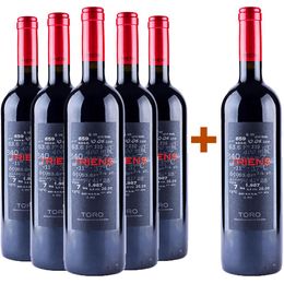 Legado de Orniz 5+1 Aktionspaket Triens Toro DO Tempranillo 2023 Trocken - Kastilien und Le&oacute;n &ndash; Probierpaket DOP
