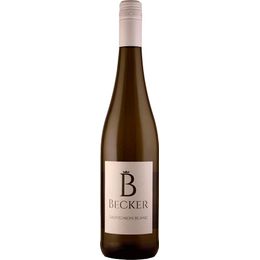 Weingut Becker GUTSWEIN Sauvignon Blanc 2023 Trocken - Rheinhessen – Weißwein Qualitätswein