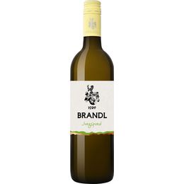 Weinhof Brandl Jungspund Rivaner M&uuml;ller-Thurgau / 2025 Trocken - Nieder&ouml;sterreich &ndash; Wei&szlig;wein Qualit&auml;tswein