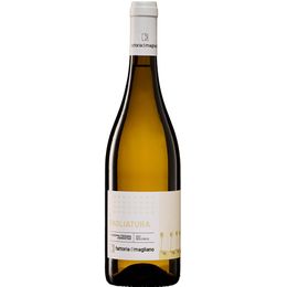 Fattoria di Magliano Pagliatura Maremma Toscana Vermentino 2024 Trocken - Toskana &ndash; Wei&szlig;wein DOC
