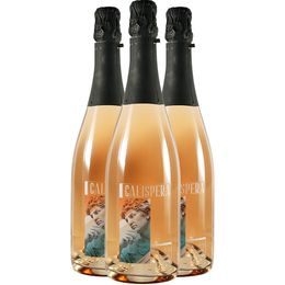 Winelab & Distribution 3 Flaschen Calispera Cuv&eacute;e - Kampanien &ndash; Probierpaket