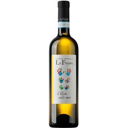 La Fusina Langhe Sauvignon Blanc 2023 Trocken - Piemont &ndash; Wei&szlig;wein DOC