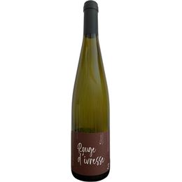 Domaine Louis Speitel Rouge d'ivresse Alsace Pinot Noir 2022 Trocken - Elsass – Rotwein AOP