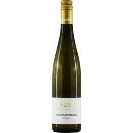 Weingut Bourdy Sauvignon Blanc 2024 Trocken - Pfalz &ndash; Wei&szlig;wein Qualit&auml;tswein