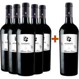 Cantine Massimo Leone 5+1 Paket Puglia Bombino Bianco 2024 Trocken - Apulien &ndash; Probierpaket IGP