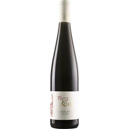 Weingut Fritz Kohl Merlot 2023 Trocken - Neuleininger Feuerm&auml;nnchen Pfalz &ndash; Rotwein Qualit&auml;tswein