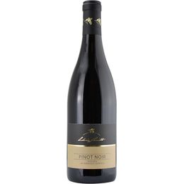 Weingut Ludwig Schmitt Pinot Noir Sp&auml;tburgunder 2022 Trocken - Franken &ndash; Rotwein Qualit&auml;tswein