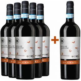 Alemat 5+1 Paket Emilio d'Asti Grignolino 2023 Trocken - Piemont &ndash; Probierpaket DOC