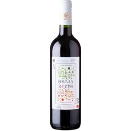 Château Franc-Baudron Recto Rouge Bordeaux Merlot 2022 Trocken - – Rotwein AOP