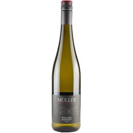 Weingut Tobias M&uuml;ller Riesling 2025 Lieblich - Rheinhessen &ndash; Wei&szlig;wein Kabinett