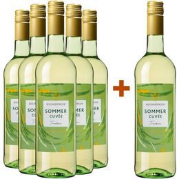 BISCHOFFINGER WINZER 5+1 Paket "Sommer" Cuv&eacute;e wei&szlig; 2024 Trocken - Baden &ndash; Probierpaket Qualit&auml;tswein
