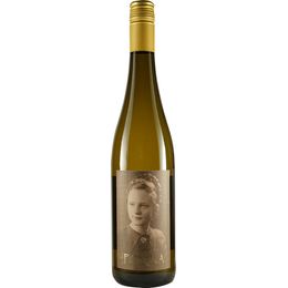 Weingut Steffen B&auml;hr Weingut Steffen B&auml;hr PIGRINA Grauer Burgunder holzgereift Grauburgunder 2023 Trocken - Nahe &ndash; Wei&szlig;wein Qualit&auml;tswein
