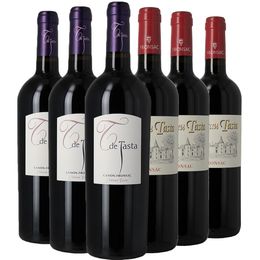 Ch&acirc;teau Tasta -Paket 2019 Trocken - Bordeaux &ndash; Probierpaket AOP