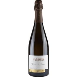 Sektmanufaktur Hattemer Blanc de brut nature Wei&szlig;burgunder 2019 Brut - Rheinhessen &ndash; Perl- & Schaumwein Sekt
