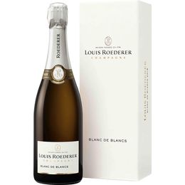 Champagne Louis Roederer Blanc de Blancs Jahrgang in Geschenkpackung brut Chardonnay 2016 Brut - &ndash; Perl- & Schaumwein AOP