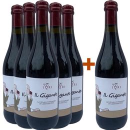 Iori Emanuele 5+1 Paket Il Gigante di Castelvetro Lambrusco Grasparossa 2022 Trocken - Emilia Romagna &ndash; Probierpaket DOC