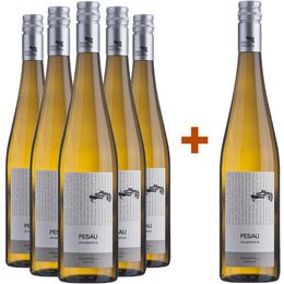 Weingut Pesau 5+1 Paket Weinviertel DAC Falkenstein Gr&uuml;ner Veltliner 2024 Trocken - &ndash; Probierpaket Qualit&auml;tswein