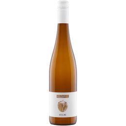 Weingut Holzapfel Riesling 2022 Feinherb - Württemberg – Weißwein Qualitätswein