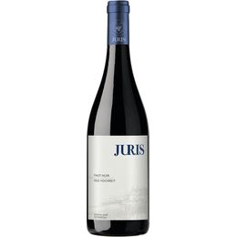 weingut juris Pinot noir Blauer Sp&auml;tburgunder 2021 Trocken - Ried Hochreit Burgenland &ndash; Rotwein Qualit&auml;tswein