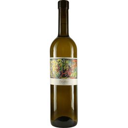Weingut J&uuml;rgen Heu&szlig;ler Gelber Muskateller 2023 Feinherb - Rhodter Klosterpfad Pfalz &ndash; Wei&szlig;wein Qualit&auml;tswein