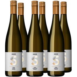 Weingut Franz J&auml;ckel Weingut Franz J&auml;ckel Paket " aus Steillagen" trocken Riesling 2023 - Nahe &ndash; Probierpaket Qualit&auml;tswein