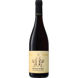 A mi manera Veneto Pinot Nero Trocken - Venetien &ndash; Rotwein IGP