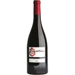 Cantina Sampietrana Squinzano Riserva Cuv&eacute;e Trocken - Apulien &ndash; Rotwein DOC