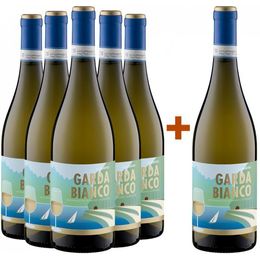 Delibori 5+1 Paket Il Laghetto Garda Bianco Cuv&eacute;e 2024 - Lombardei &ndash; Probierpaket DOC