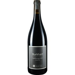 Weingut Burkhart Alexander Sp&auml;tburgunder 2022 Trocken - Jechtinger Eichert Baden &ndash; Rotwein Qualit&auml;tswein