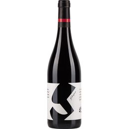 weingut glatzer Gotinsprun Cuv&eacute;e 2023 Trocken - Carnuntum DAC &ndash; Rotwein Qualit&auml;tswein