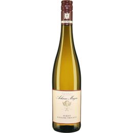 Weingut Acham-Magin Purist Riesling 2025 Trocken - Pfalz &ndash; Wei&szlig;wein Qualit&auml;tswein