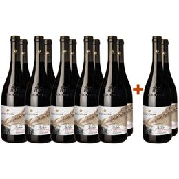 Cantine Nicosia 10+2 Paket Falde Nerello Mascalese Syrah Frappato Terre Siciliane Cuv&eacute;e 2022 Trocken - Sizilien &ndash; Probierpaket IGP