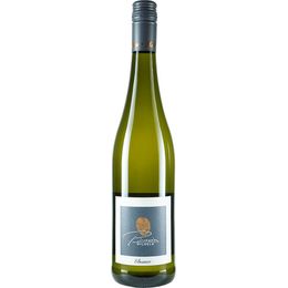 Wein/Sektgut Pirmin Wilhelm Silvaner 2025 Trocken - Alsterweiler Kapellenberg Pfalz &ndash; Wei&szlig;wein Qualit&auml;tswein