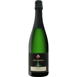 Sasbacher Winzerkeller Pinot EDITION ORCHIDEA extra brut Cuv&eacute;e 2022 Extra Brut - Baden &ndash; Perl- & Schaumwein Winzersekt