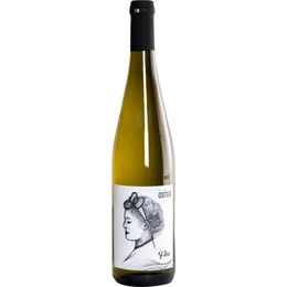 Weingut Oster Fine Riesling 2025 Feinherb - Mosel &ndash; Wei&szlig;wein Qualit&auml;tswein