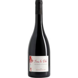 Domaine de la Chopini&egrave;re du Roy Cuv&eacute;e "Sous Robe" Saint Nicolas Bourgueil Cabernet Franc 2023 Trocken - Loire &ndash; Rotwein AOP
