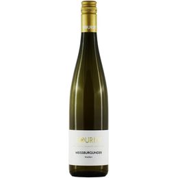 Weingut Bourdy Wei&szlig;burgunder 2024 Trocken - Pfalz &ndash; Wei&szlig;wein Qualit&auml;tswein