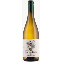 Celler Pi&ntilde;ol Raig de Raim Blanco Terra Alta DO Cuv&eacute;e 2023 Trocken - Calcareo Katalonien &ndash; Wei&szlig;wein DOP