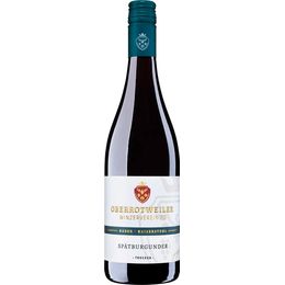 Oberrotweiler Winzerverein , 0,75 L, Region Kaiserstuhl, Baden Sp&auml;tburgunder 2024 Trocken - Oberrotweil &ndash; Rotwein Qualit&auml;tswein