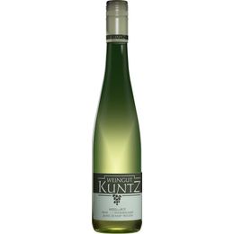 Weingut Kuntz WEI&szlig;ausROT Sp&auml;tburgunder BLANC DE NOIR "wei&szlig;gekeltert" #WeinWinter - Sonderpreis S&auml;mling 2024 Trocken Im Stiefel Pfalz &ndash; Wei&szlig;wein Quali