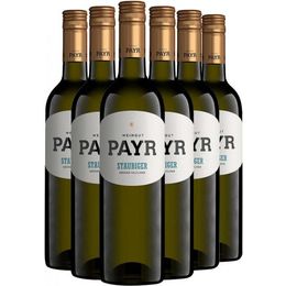 Bio Weingut Robert Payr 6er-Paket "Staubiger" &Ouml;TW Gutswein Gr&uuml;ner Veltliner 2024 Trocken - Nieder&ouml;sterreich &ndash; Probierpaket &Ouml;sterreichischer Wein