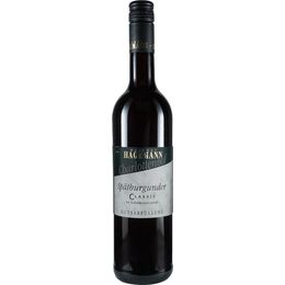 Weingut Hagemann CLASSIC Spätburgunder 2022 - Rheinhessen – Rotwein Qualitätswein