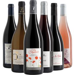 Domaine de la Chopini&egrave;re du Roy Kennenlern-Paket - Loire &ndash; Probierpaket Diverse