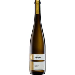 Weingut F-J Regnery Riesling 2023 Edels&uuml;&szlig; - Kl&uuml;sserather Bruderschaft Mosel &ndash; Wei&szlig;wein Auslese