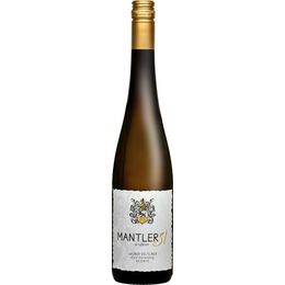 Weingut Mantler31 Gr&uuml;ner Veltliner 2024 Trocken - Ried Hinterberg Wagram &ndash; Wei&szlig;wein Qualit&auml;tswein