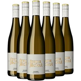 Weingut Franz Jäckel Weingut Franz Jäckel Paket Silvaner 2024 Halbtrocken - Nahe – Probierpaket Qualitätswein