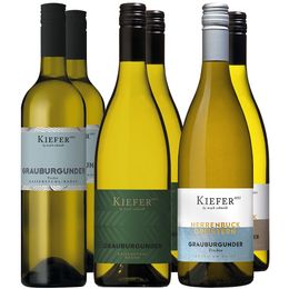 Weingut Friedrich Kiefer Paket Bio Grauburgunder Trocken - Baden &ndash; Probierpaket Diverse