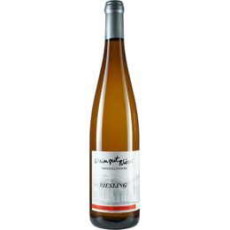 Weingut Bl&ouml;ser Riesling 2023 Lieblich - Mittelrhein &ndash; Wei&szlig;wein Qualit&auml;tswein